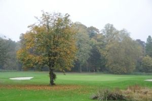 Bomen moeten wijken, uitbreiding GC De Haar lijkt definitief