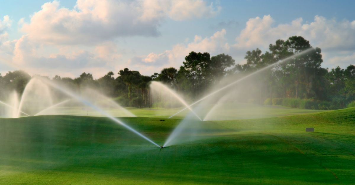 Met kennis en technologie kan waterverbruik tot wel 35% gereduceerd worden