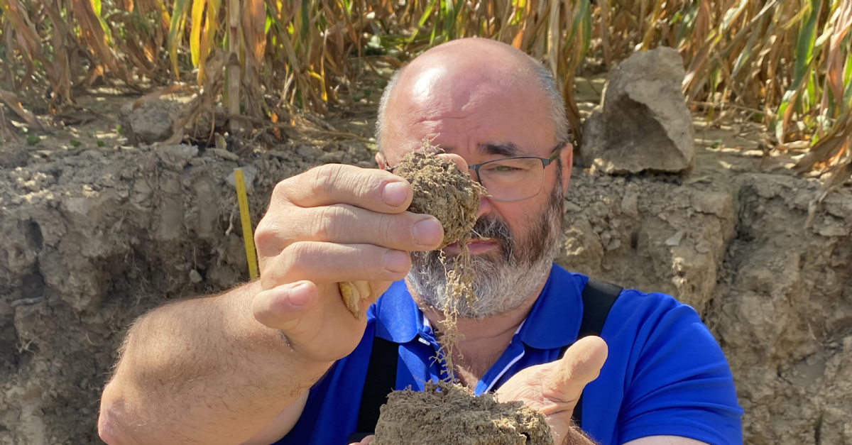 Neosol: wat is het en wat doet het?